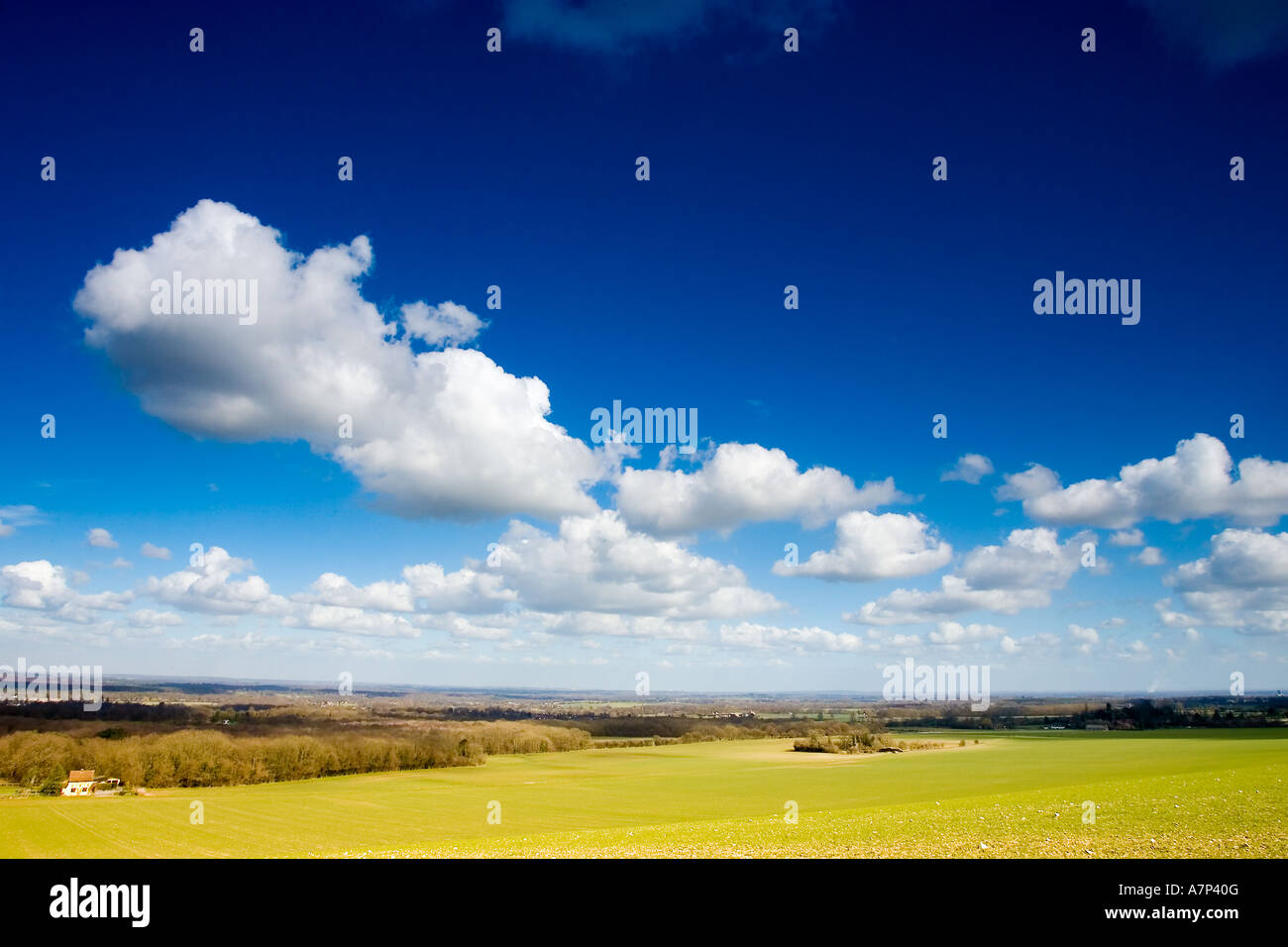 Hogs Back, Surrey High Resolution Stock Photography and Images - Alamy