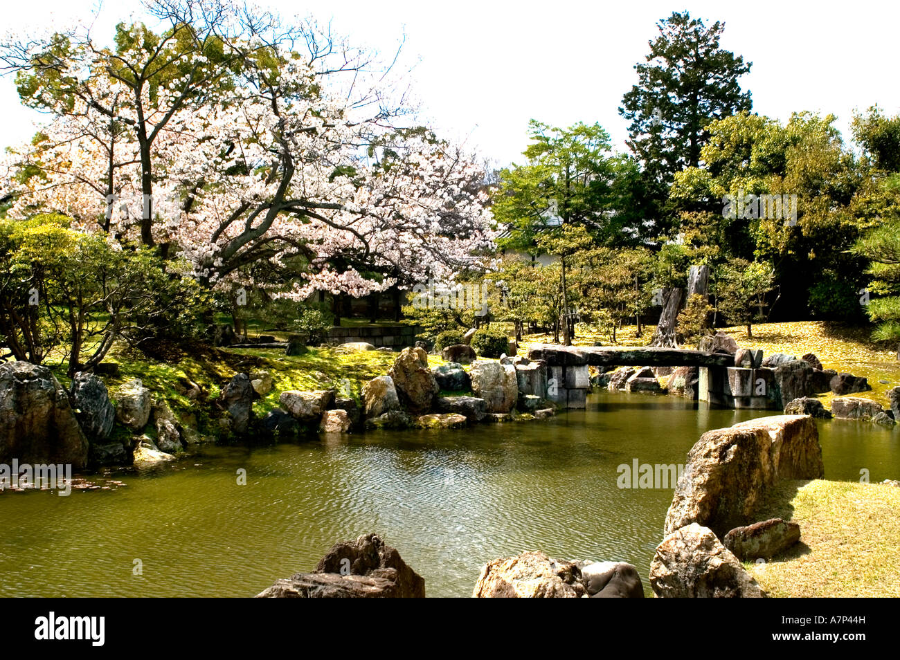 Kyoto Japan Heian Jingu Shinto Shrine Garden Stock Photo - Alamy