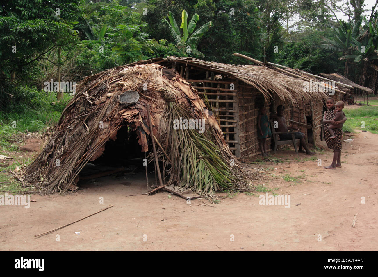 Baaka Pygmies, SW Central African Republic Stock Photo - Alamy
