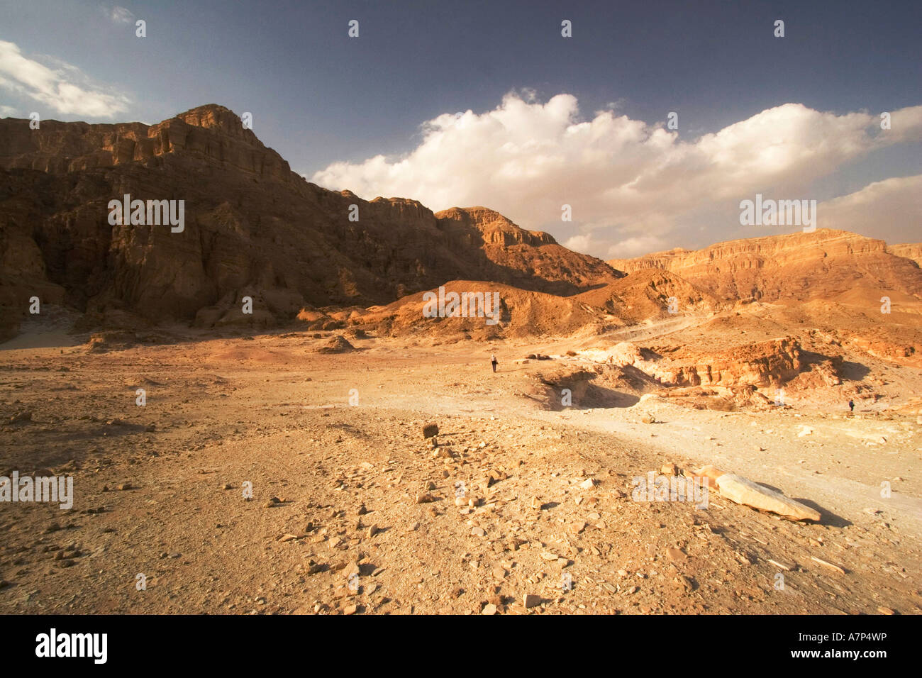 Tautona Mine Megastructures