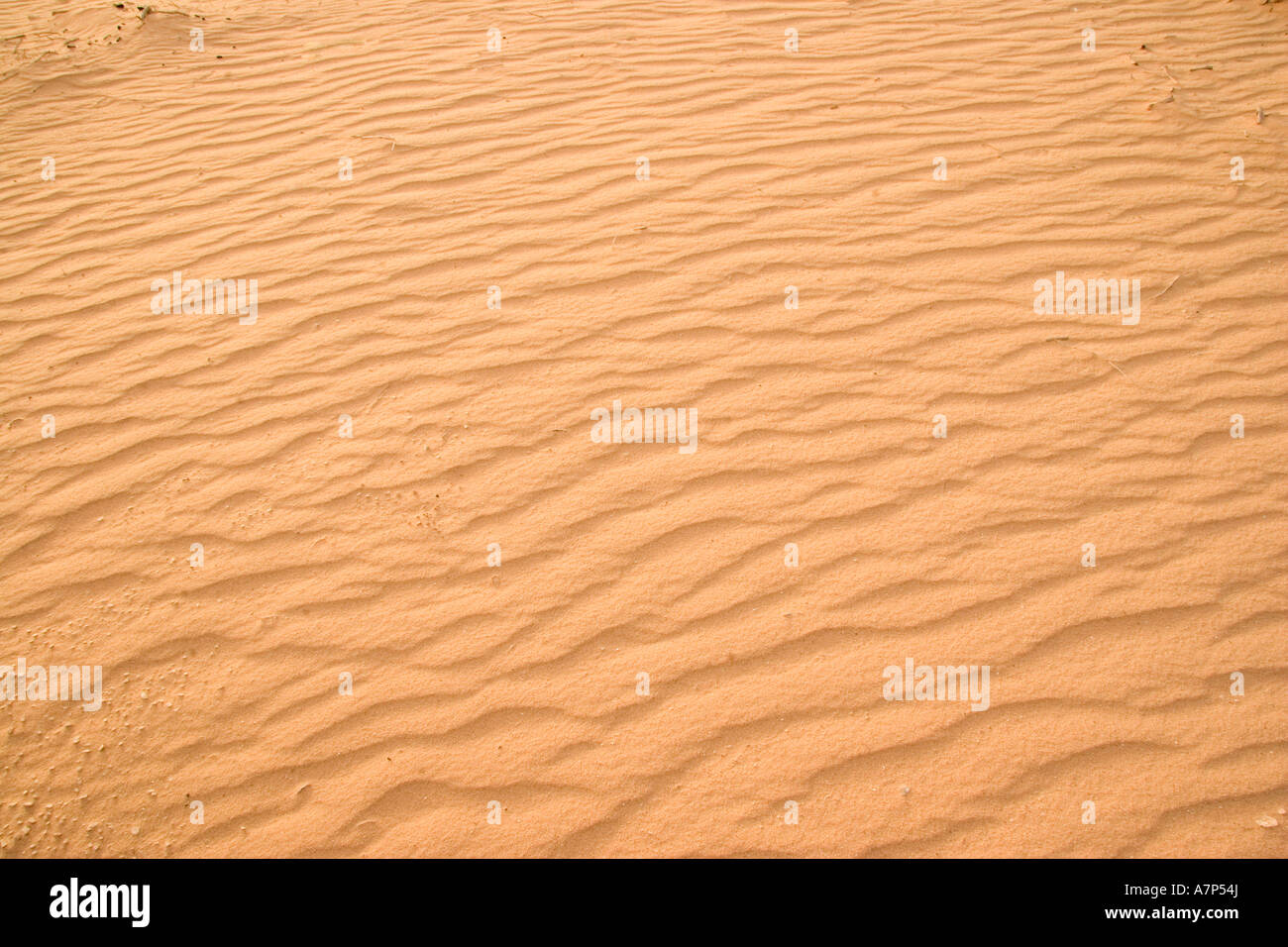 sand ripples negev desert israel Stock Photo - Alamy