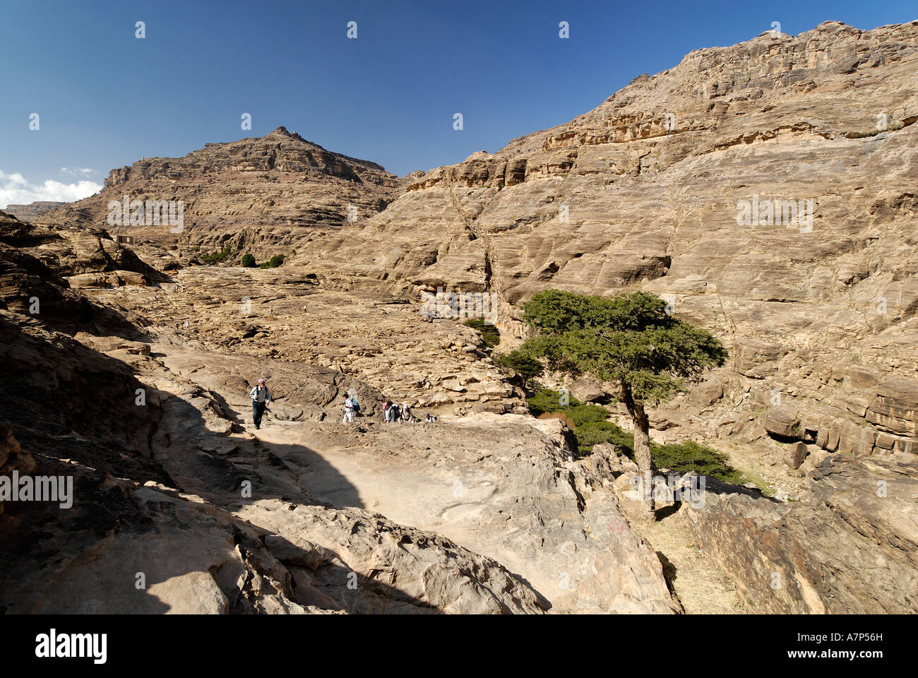 Acacia valley trail hi-res stock photography and images - Alamy