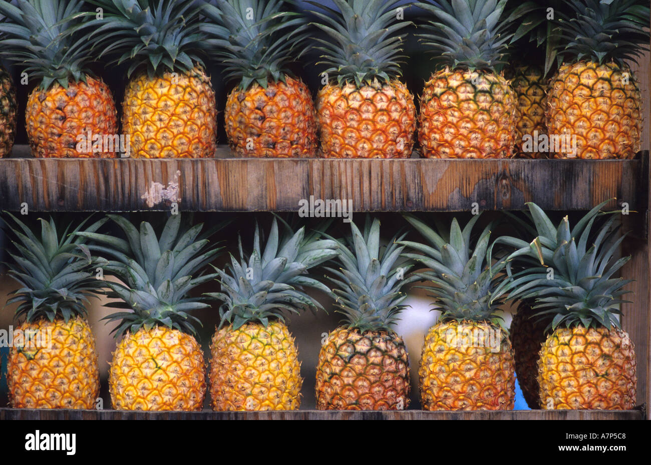 A pineapple display in Hawaii Stock Photo - Alamy