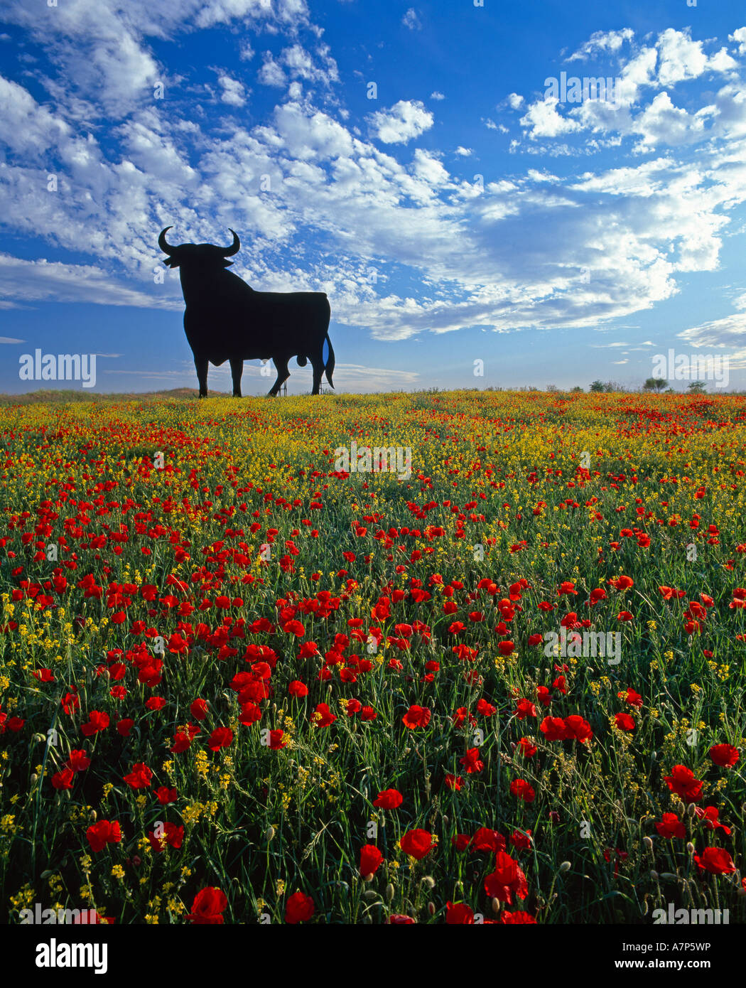 Giant Bull, Toros De Osborne, Andalucia, Spain Stock Photo - Alamy