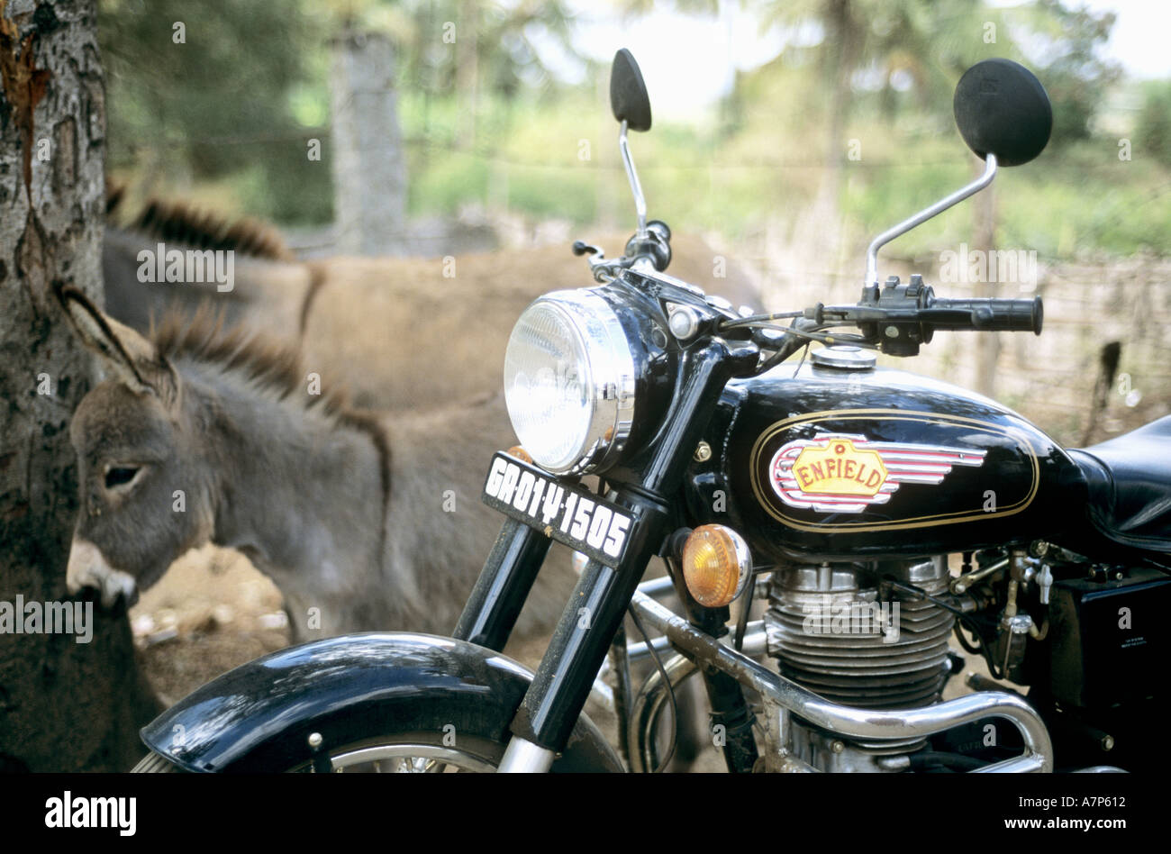 Royal Enfield Motorcycle Stock Photo - Alamy