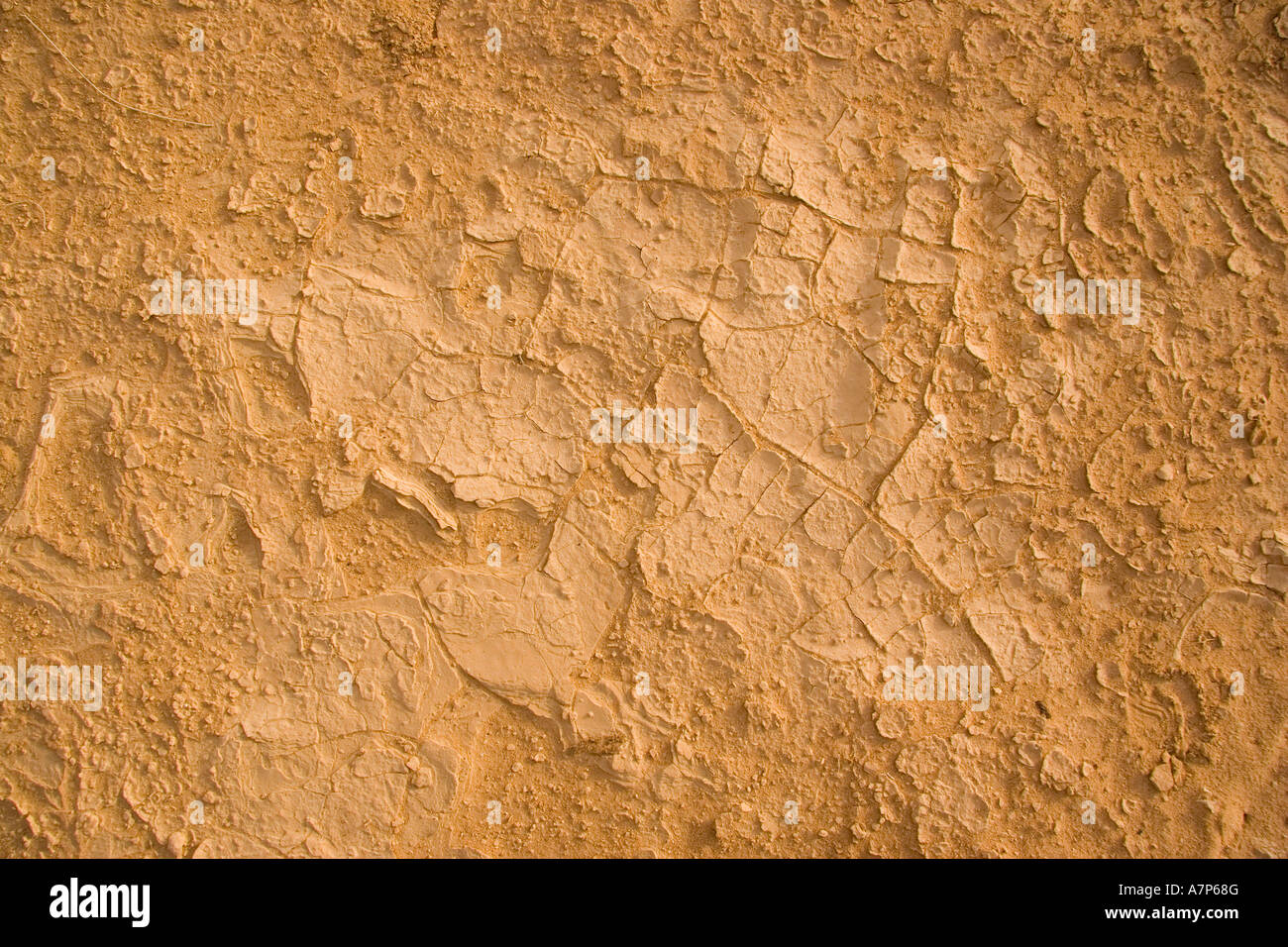 dried sand in negev desert israel Stock Photo - Alamy