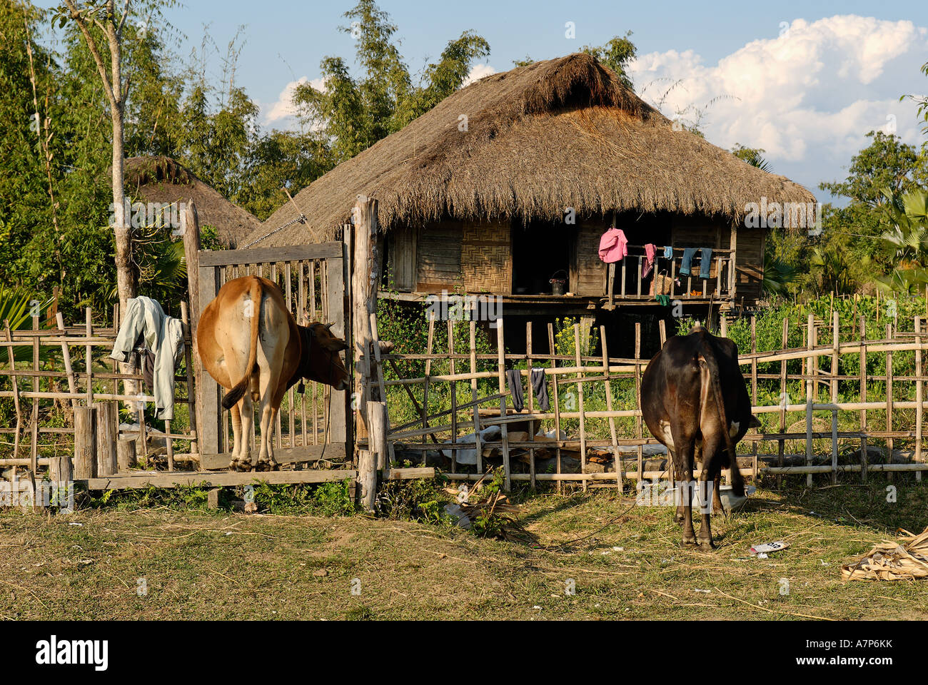 traditionelles Shan Haus in Putao Kachin State Myanmar traditional Shan ...