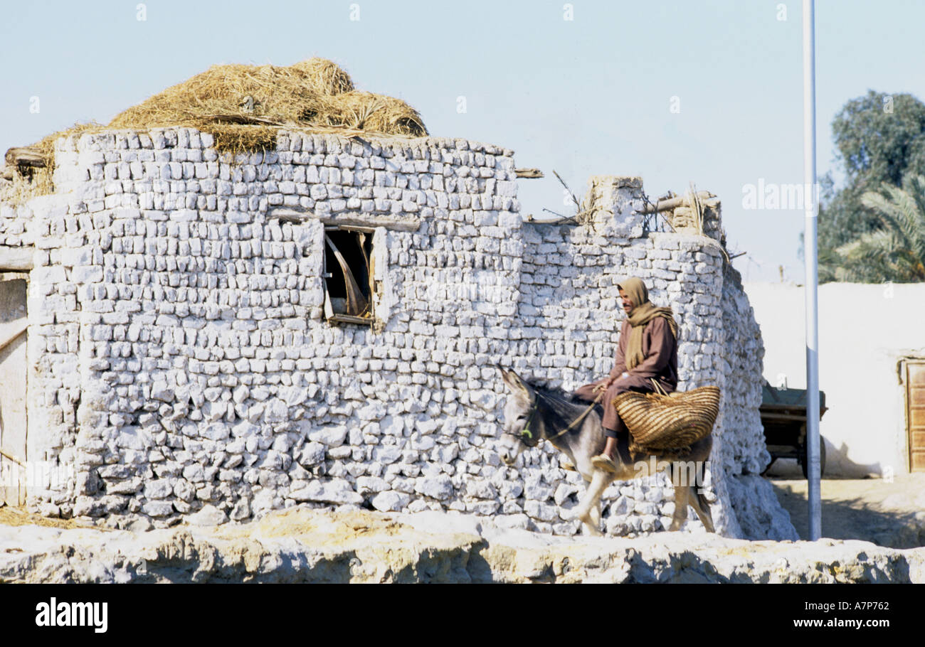 Donkey and mud bricks Egypt Stock Photo - Alamy