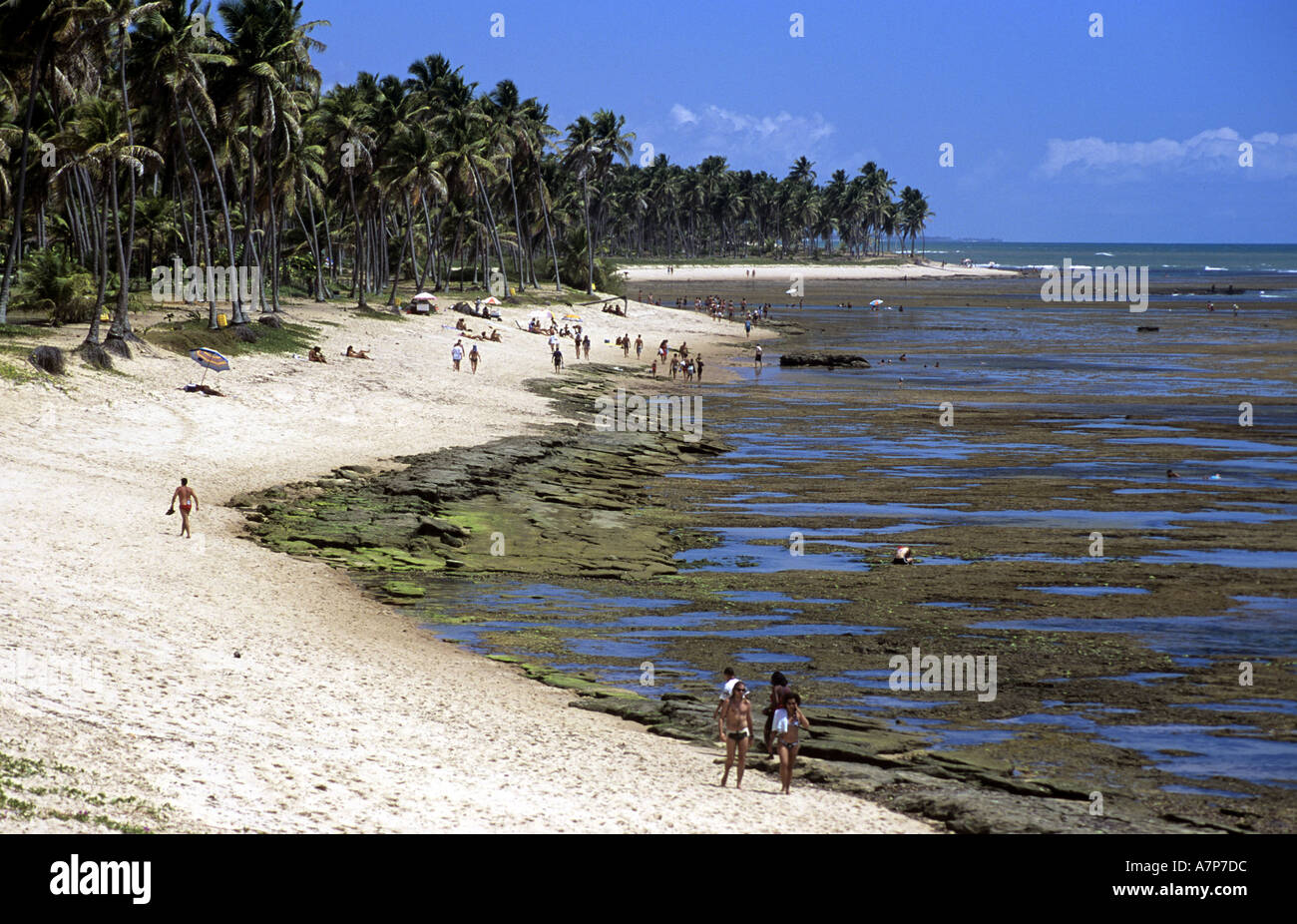 Beach Praia do Forte Brazil Stock Photo - Alamy