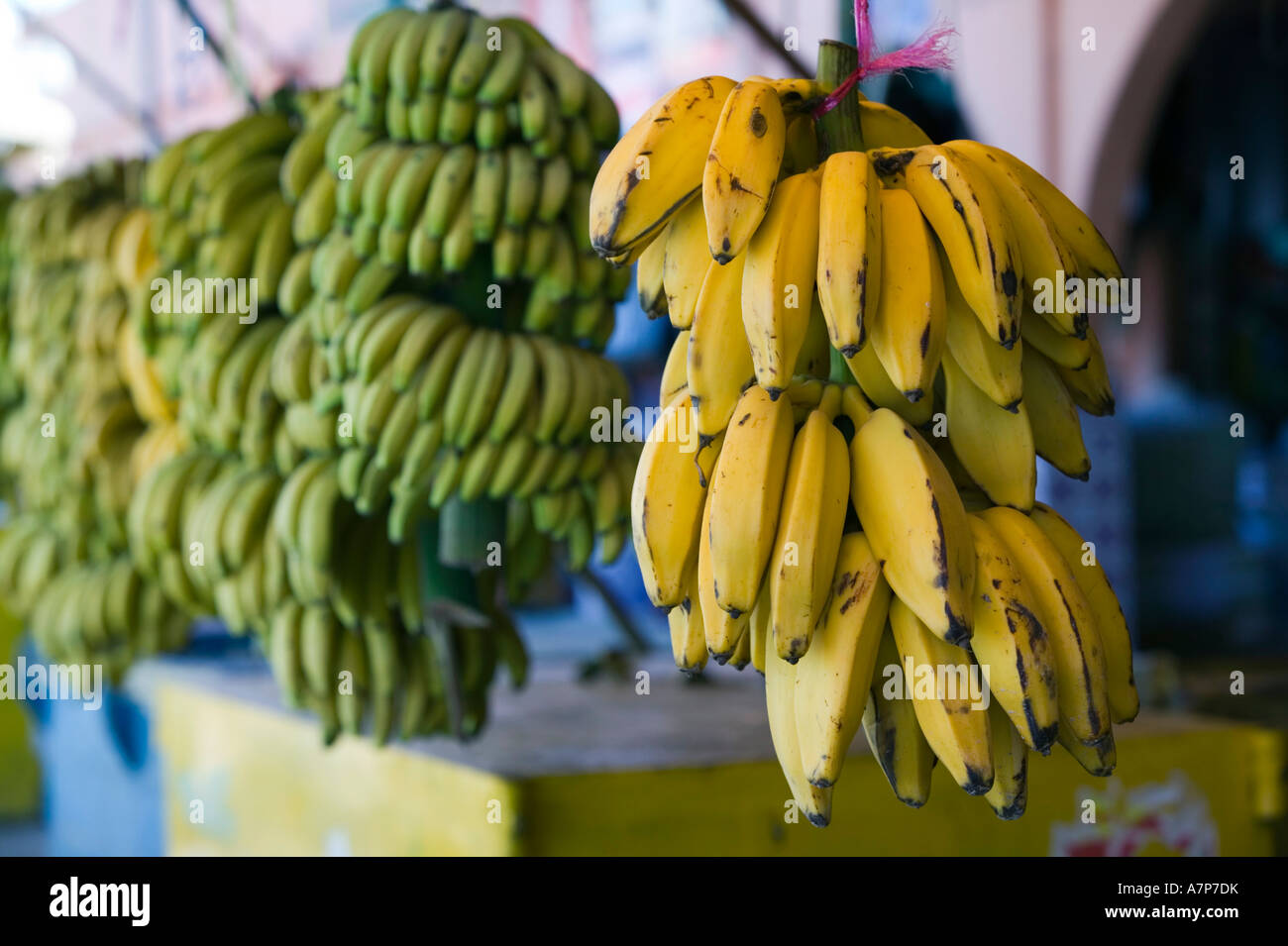 Bananas for Sale, Tamri, Atlantic Coast, Morocco Stock Photo - Alamy