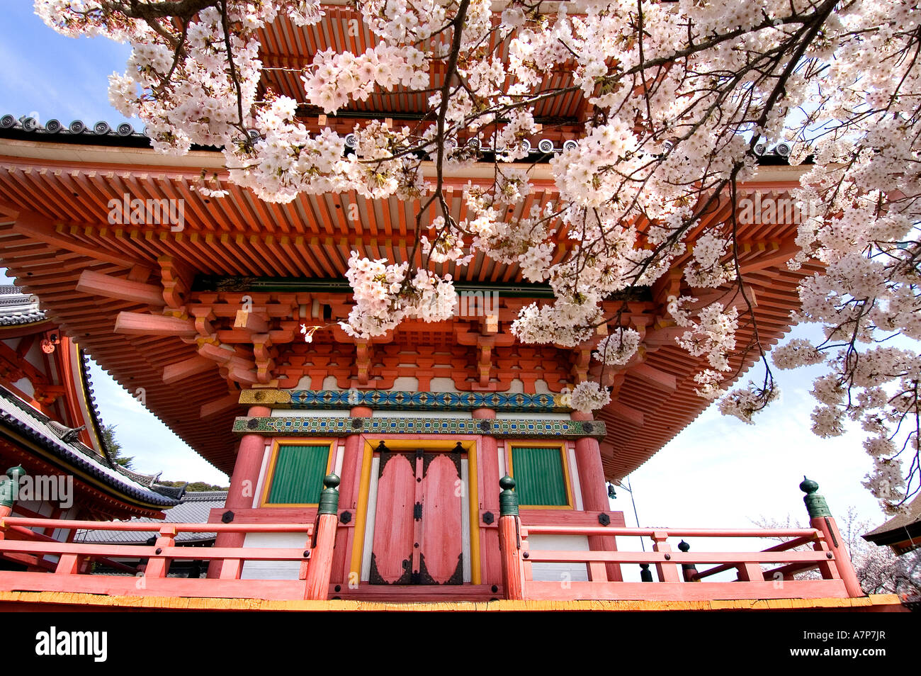 Honen In Kyoto temple japan flowers cherry blossom Stock Photo - Alamy