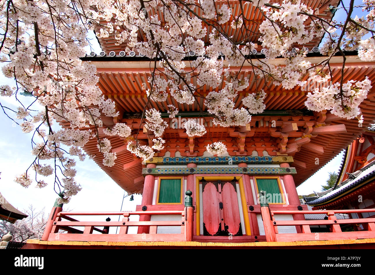Honen In Kyoto temple japan flowers cherry blossom Stock Photo - Alamy