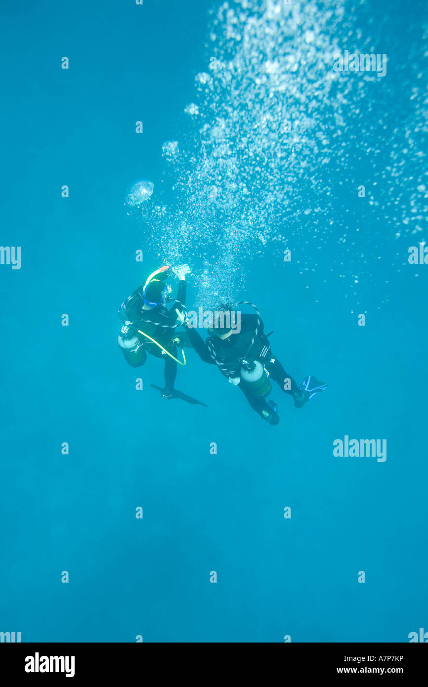 Diving, Maldives, Indian ocean Stock Photo - Alamy