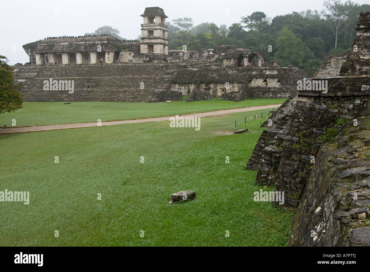 El Palacio the palace Maya archeological site Palenque Chiapas Mexico ...