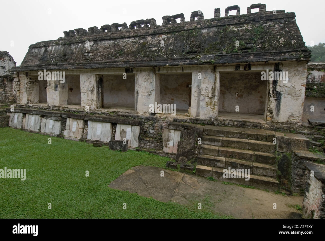 El Palacio the palace Maya archeological site Palenque Chiapas Mexico ...