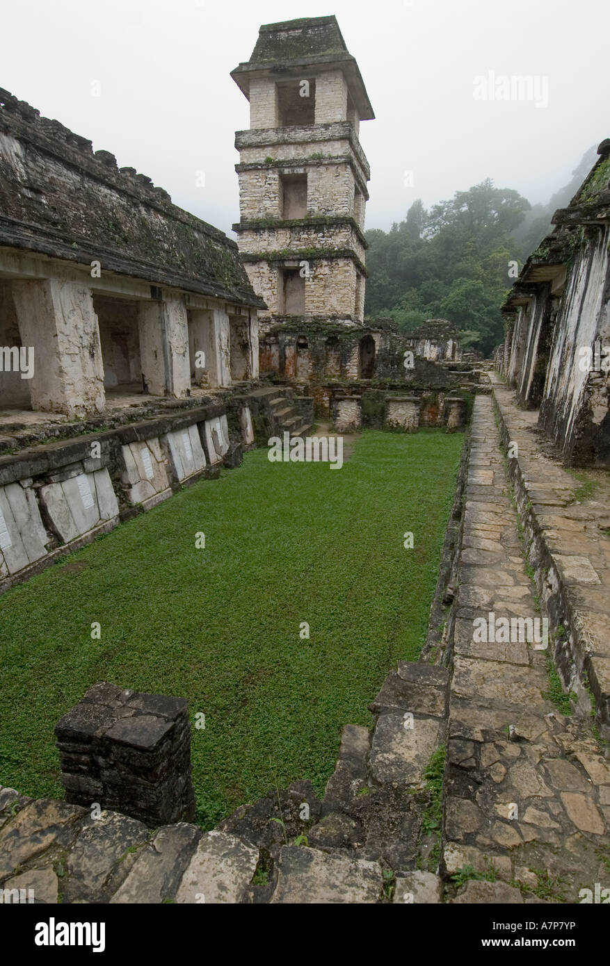 El Palacio the palace Maya archeological site Palenque Chiapas Mexico ...