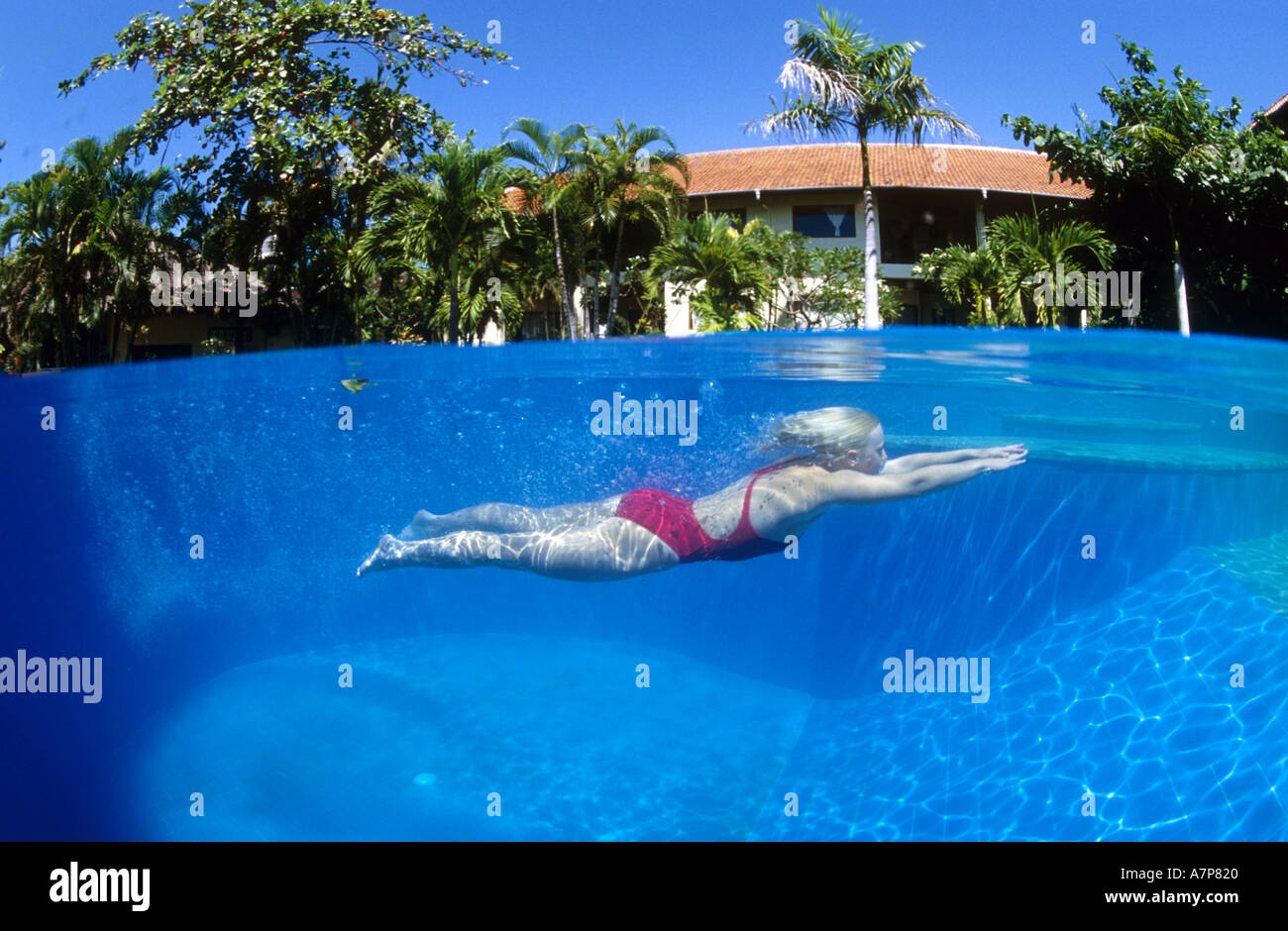 at the pool Thomas Aichinger V W Stock Photo - Alamy