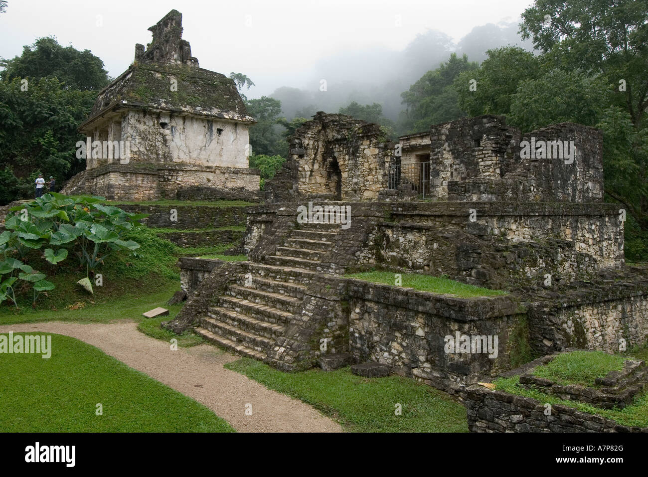 Templo del Sol temple of the sun Maya archeological site Palenque ...