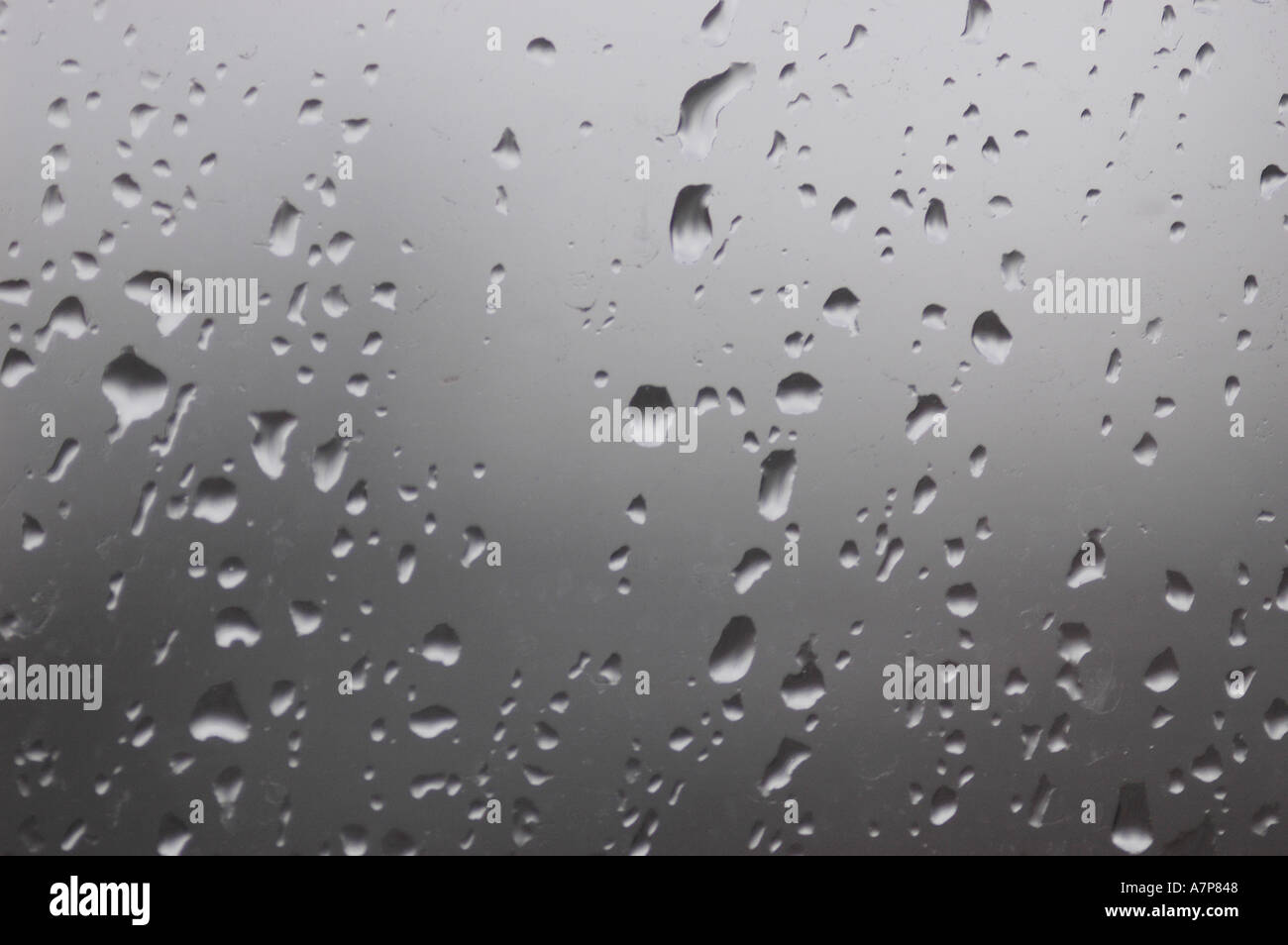 Rain drops in a stormy day New York City weather rain water bad grey ...