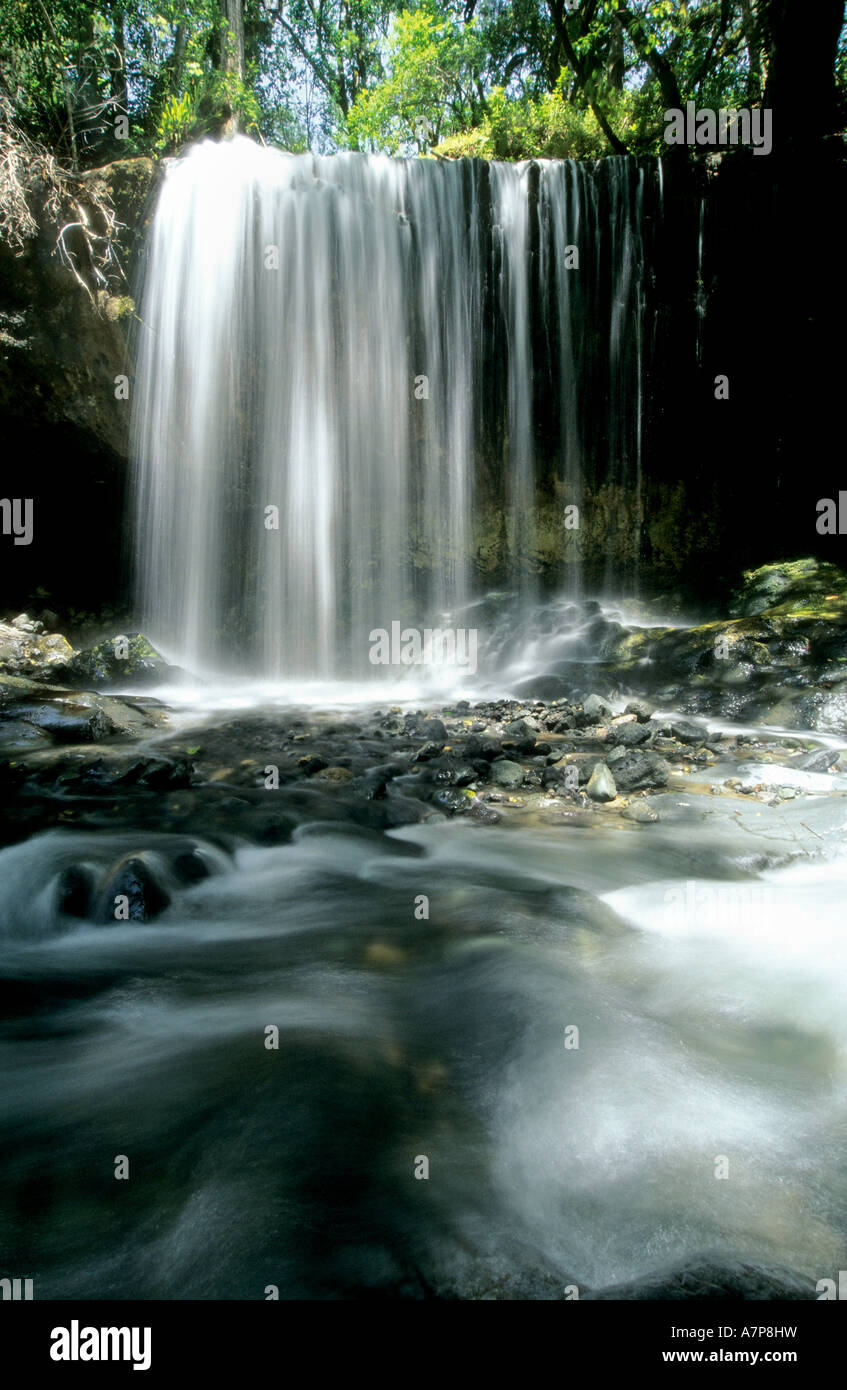 Waterfall arusha national park hi-res stock photography and images - Alamy