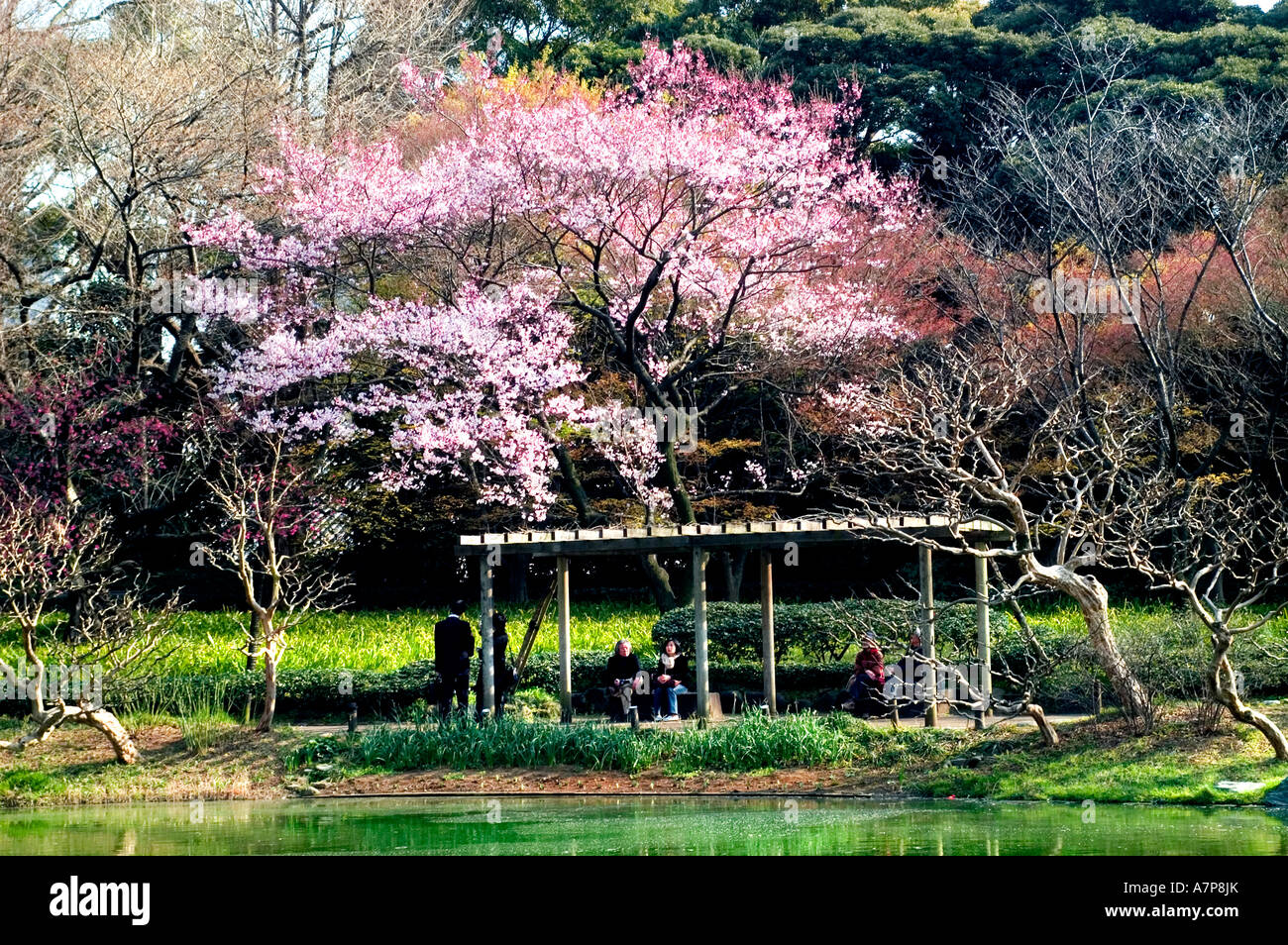 Tokyo Imperial Palace East Garden Kokyo Higashi Gyoen Stock Photo - Alamy