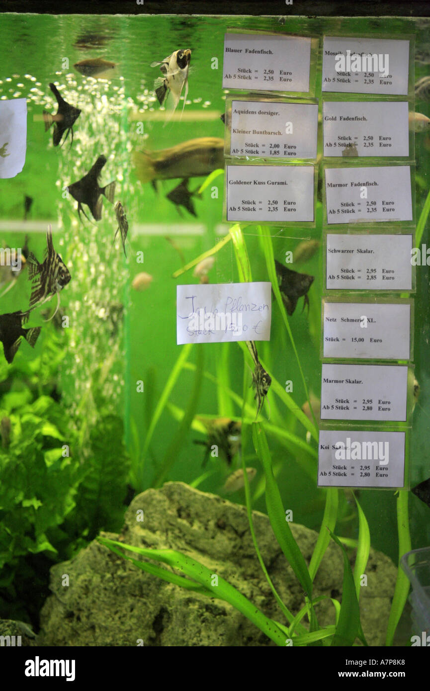 Fish price list fish market hi-res stock photography and images - Alamy