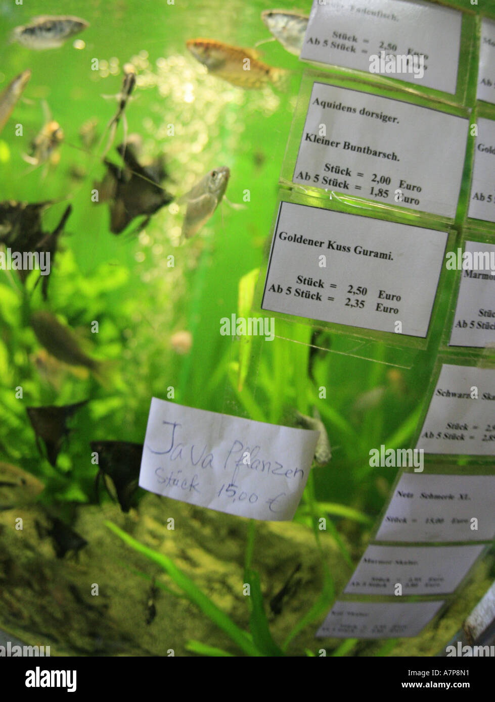 Fish price list fish market hi-res stock photography and images - Alamy