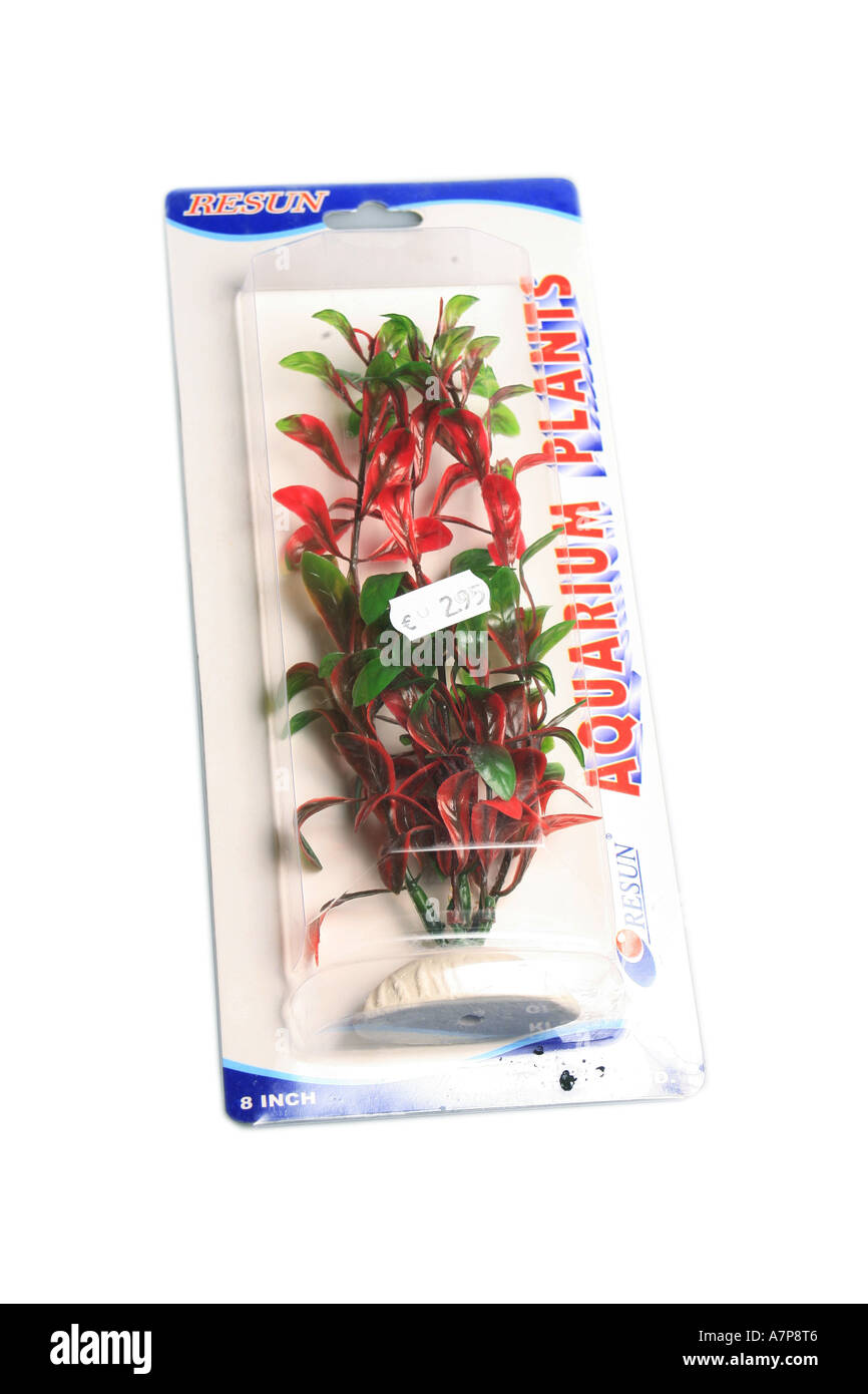 Plant and animal shop Cut Out Stock Images & Pictures - Alamy