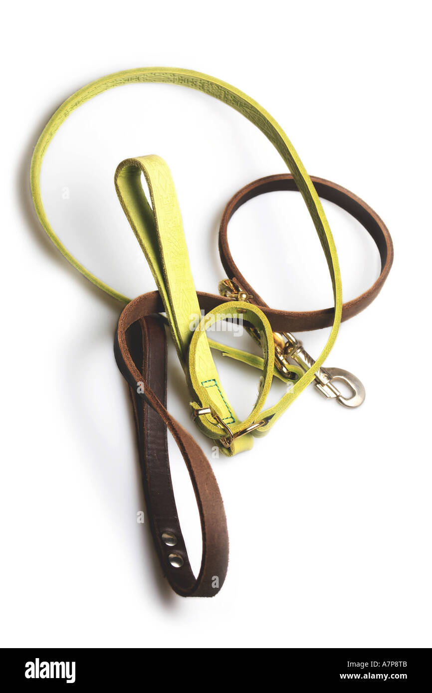 Two dogs leads cut out hi-res stock photography and images - Alamy