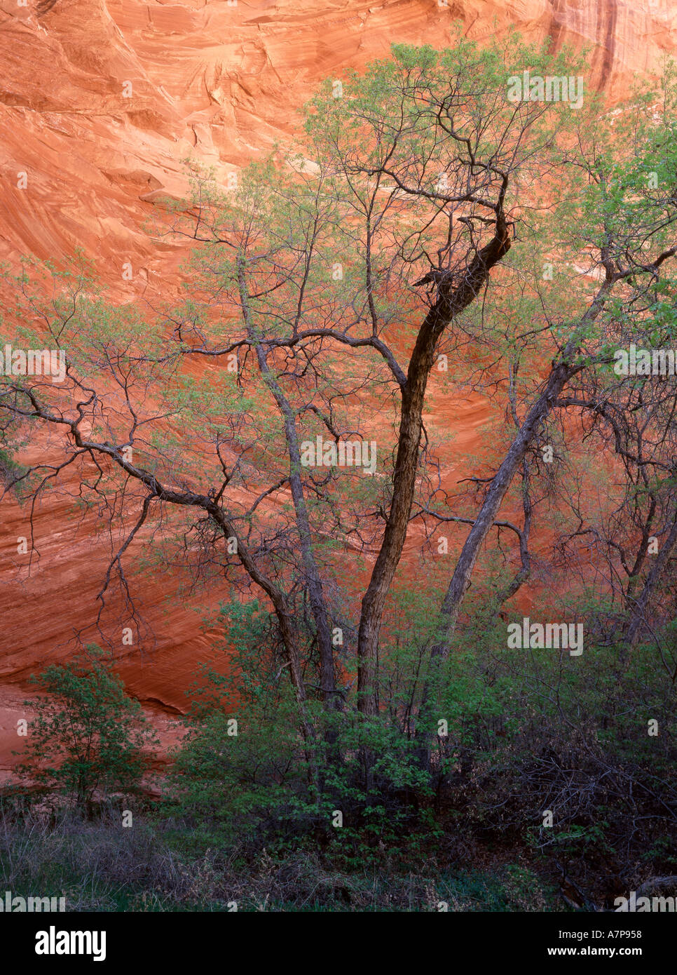 Harris wash hi-res stock photography and images - Alamy