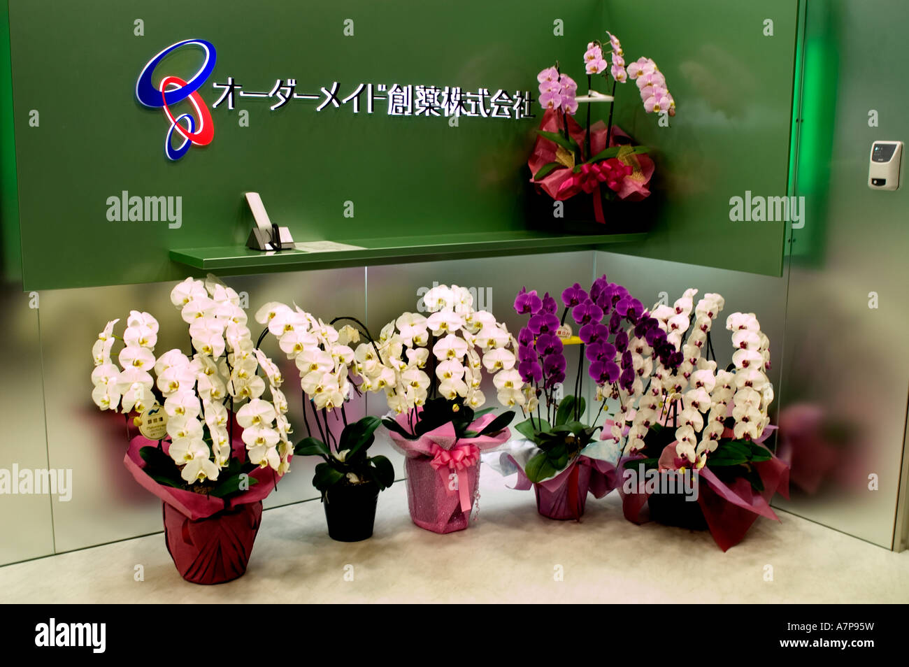 Tokyo Shop TokyoJapan trendy Fashion modern store Stock Photo - Alamy