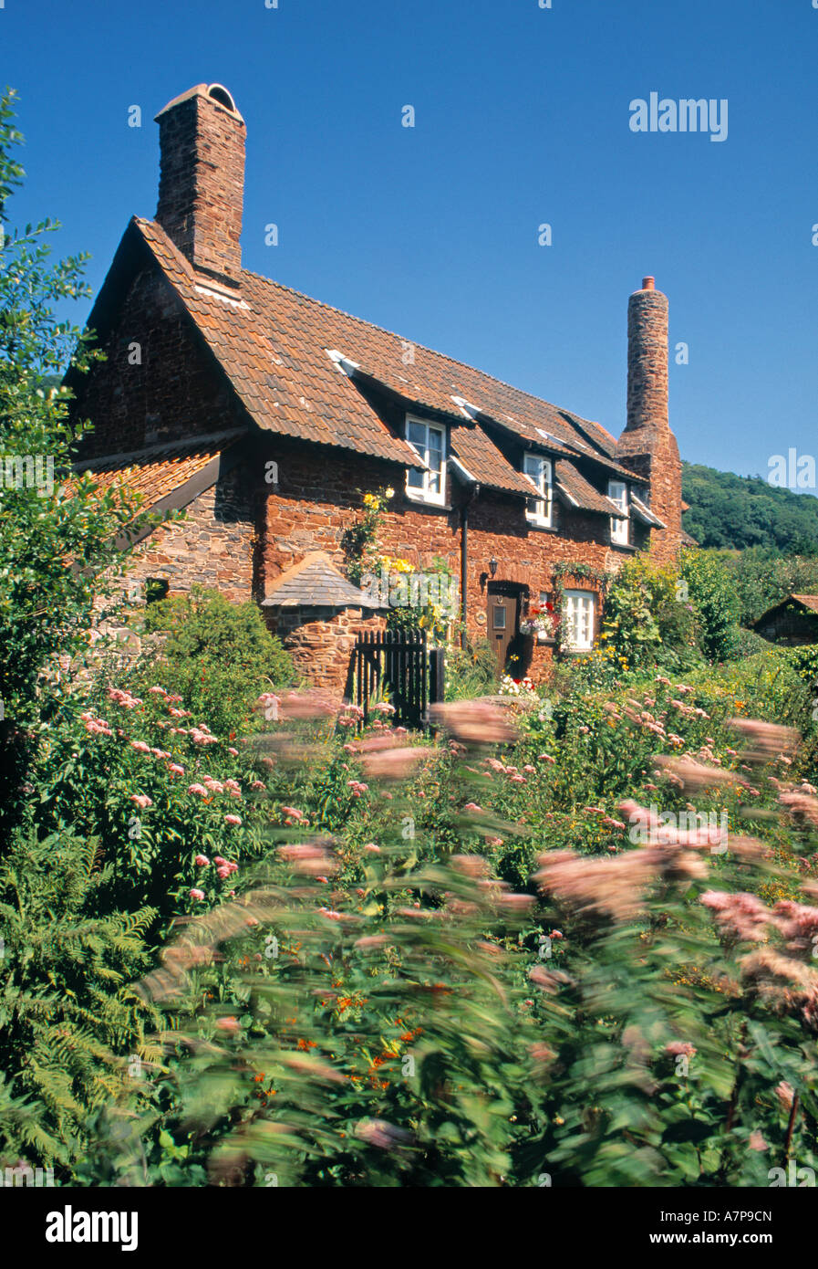 Cottage, Devon, England Stock Photo - Alamy