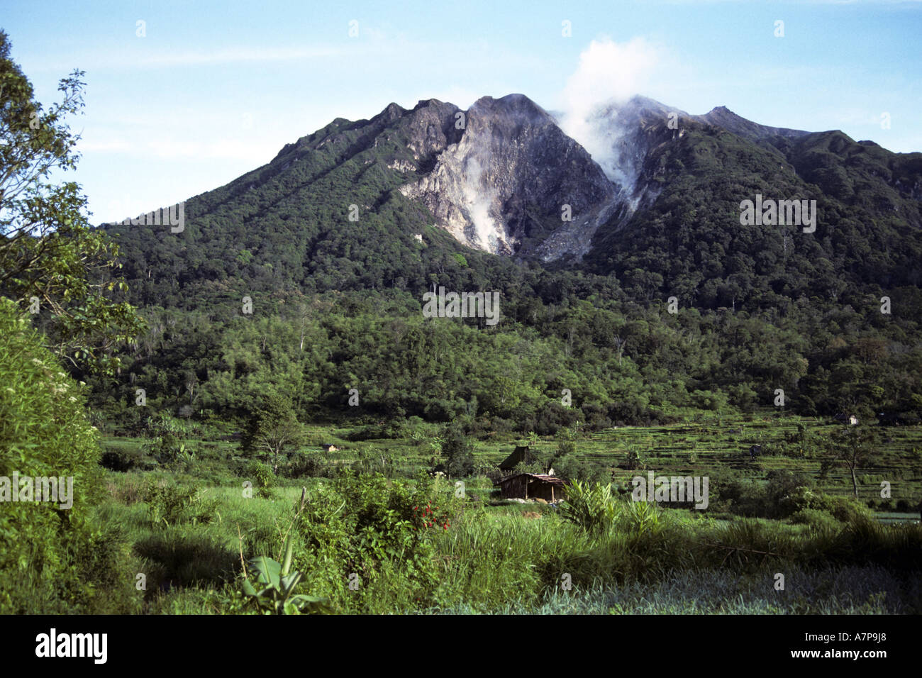 Sibayak volcano, Indonesia, Sumatra Stock Photo - Alamy