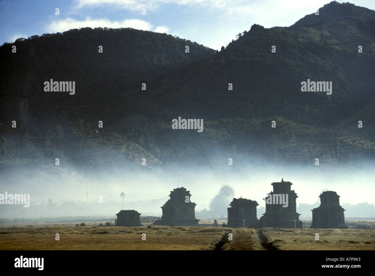 Candi, old temple of Java, Indonesia, Java Stock Photo - Alamy