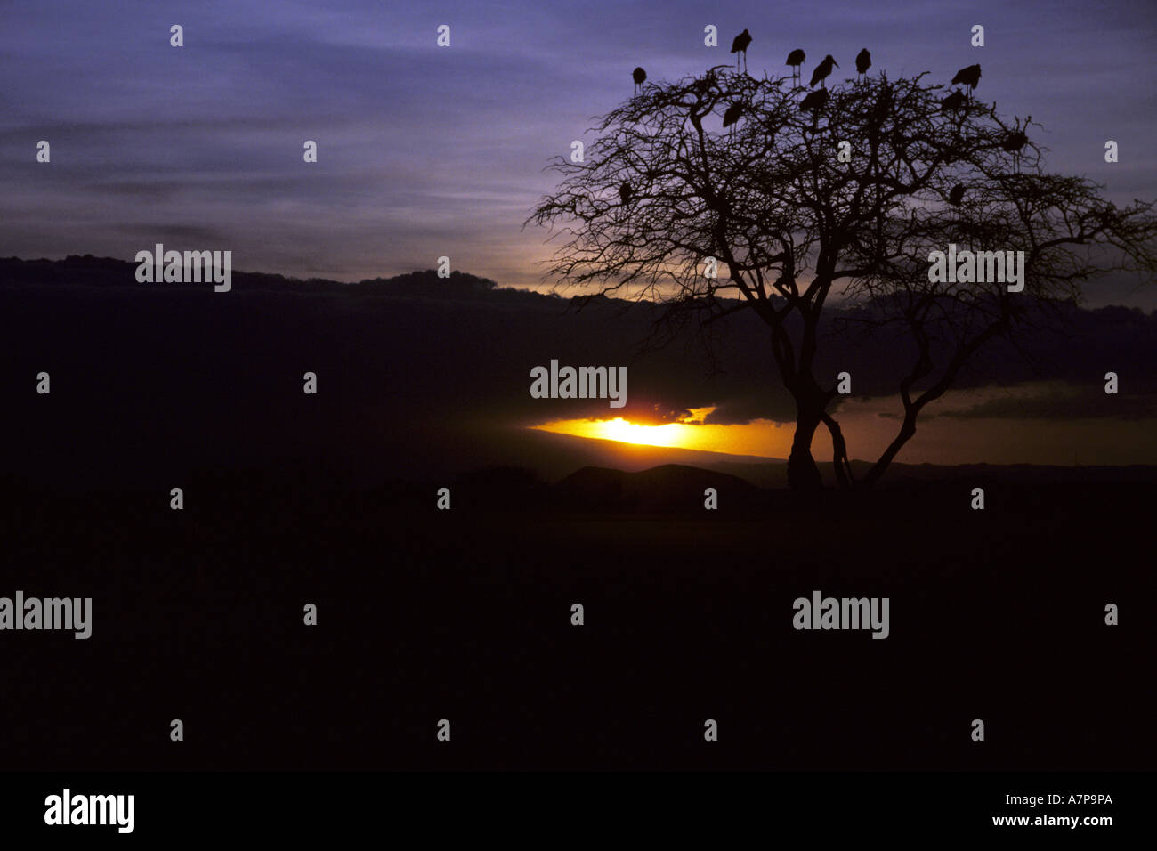 Kenya m lohmann horizontal format africa hi-res stock photography and ...