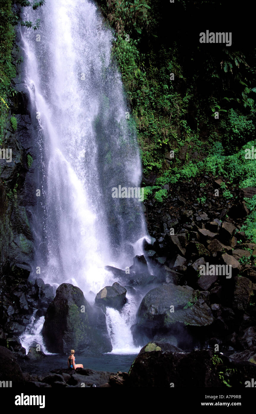 Dominica, central area, Trafalgar Falls Stock Photo - Alamy