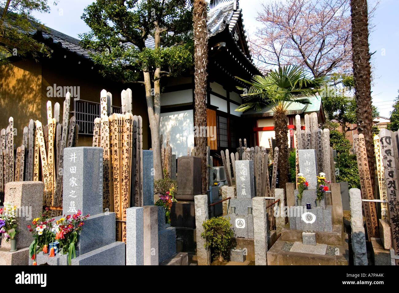 Aoyama cemetery hi-res stock photography and images - Alamy