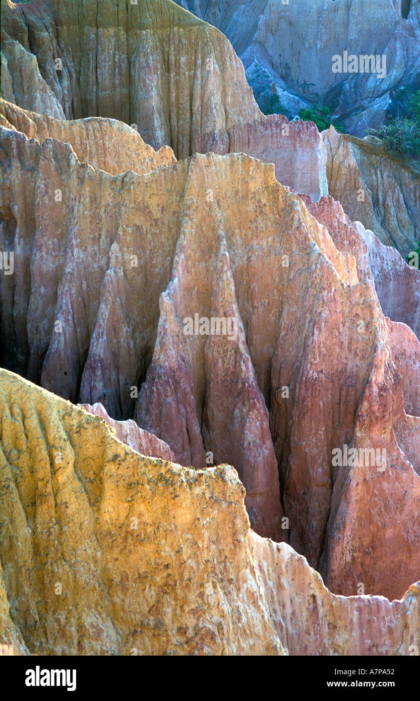 KENYA Malindi Northwest of Malindi is the Marafa Depression known as ...