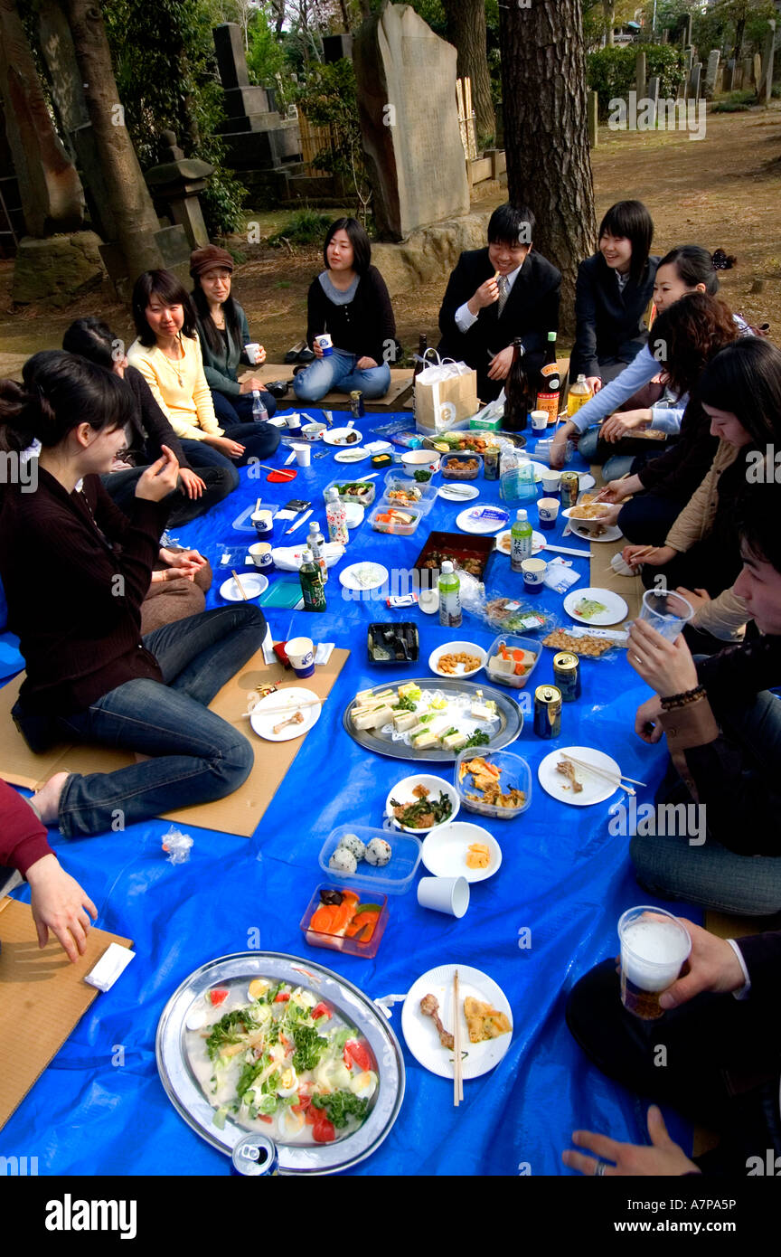 Aoyama Cemetery Tokyo Party japan cherry blossom Hanimi Spring Festival ...