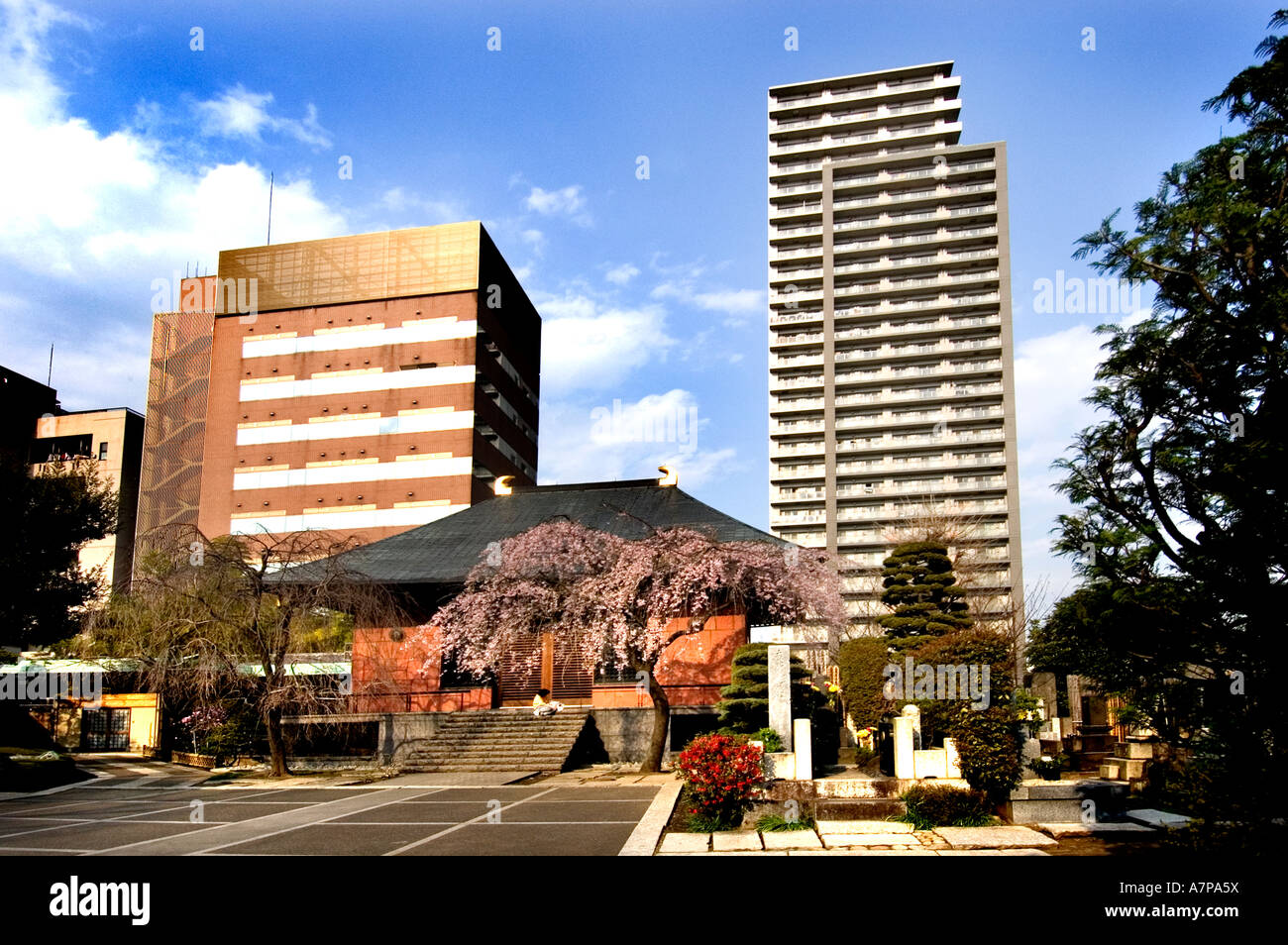 Japan centre hi-res stock photography and images - Alamy