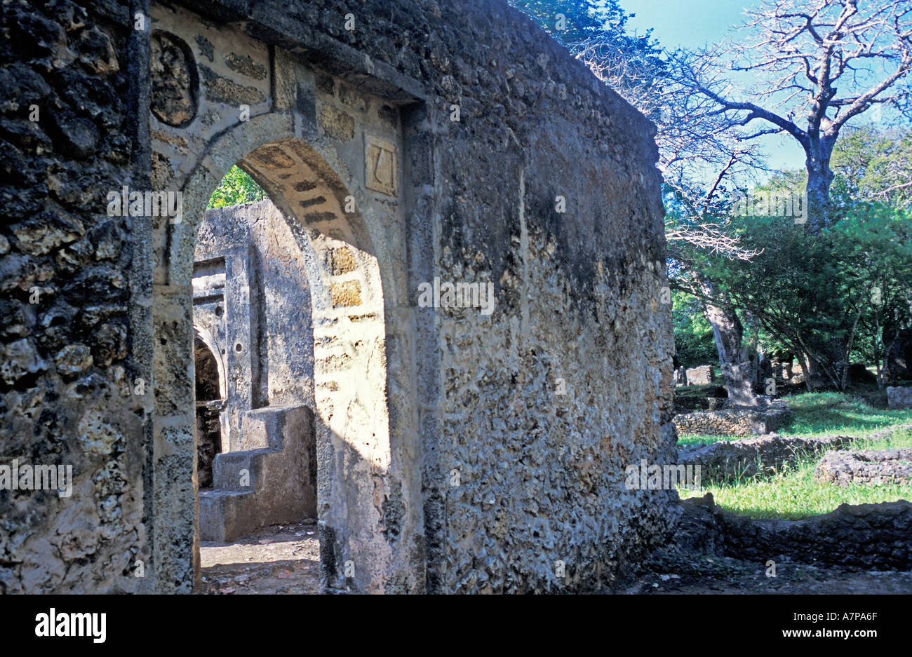 AFRICA, KENYA Gedi Great Mosque in ruins of thirteenth to seventeenth ...