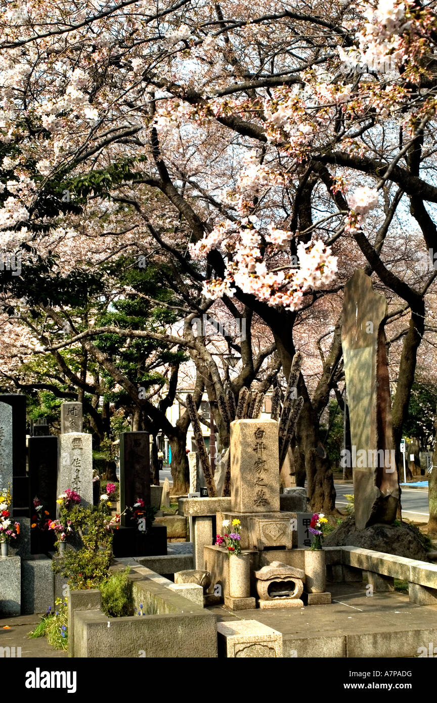 Aoyama Cemetery Tomb Graveyard Grave Tokyo Japan Stock Photo - Alamy