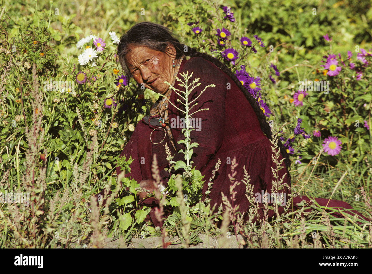 India woman squatting hi-res stock photography and images - Alamy