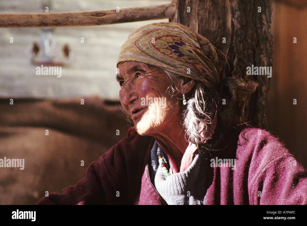 portrait of a woman at the market in Leh, India, Ladakh, Leh Stock ...