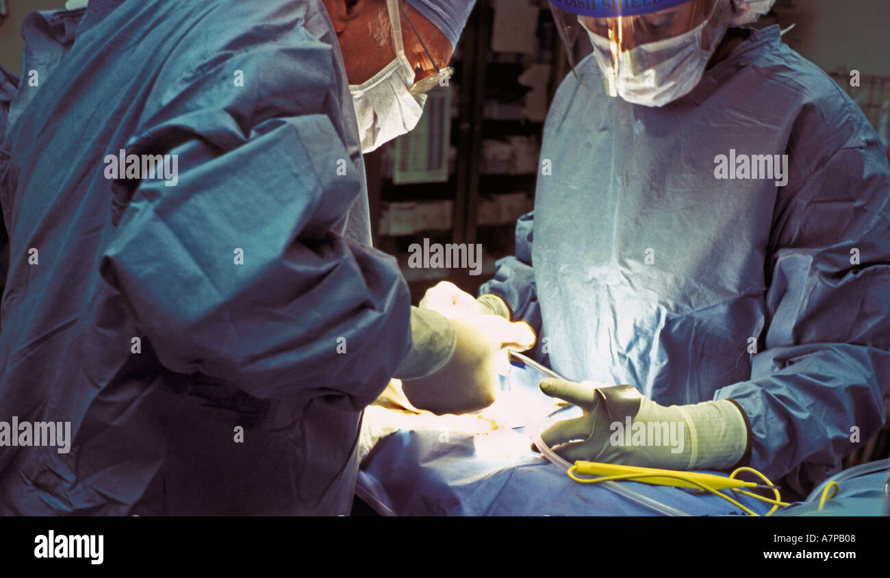 Surgical team performs kidney transplant in operating room Stock Photo ...