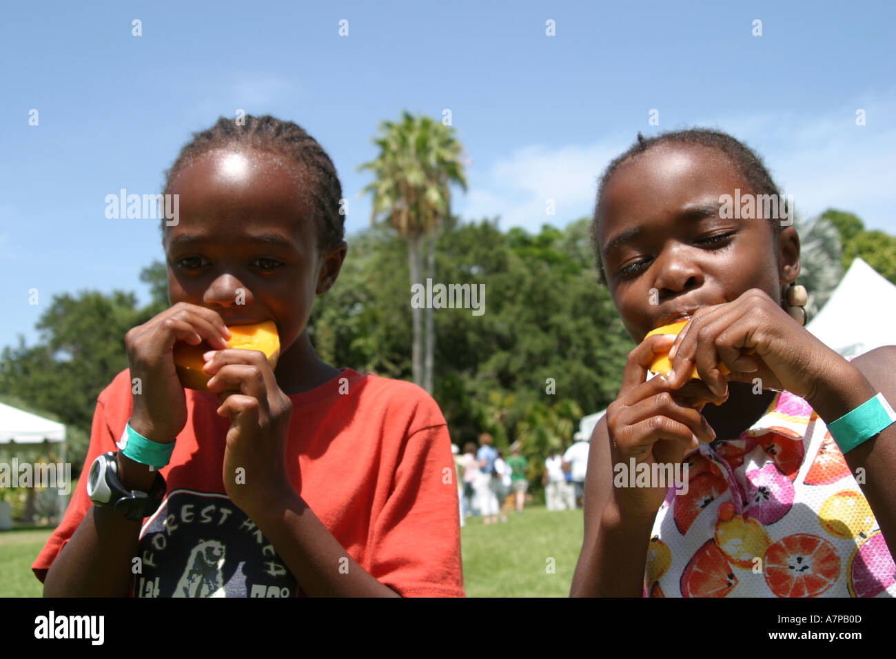 Miami Florida,Coral Gables,Fairchild Tropical Botanic Garden ...