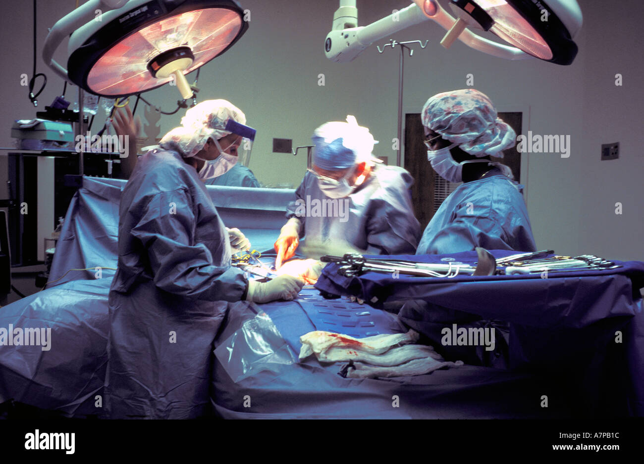 Surgical team performs kidney transplant in operating room Stock Photo ...