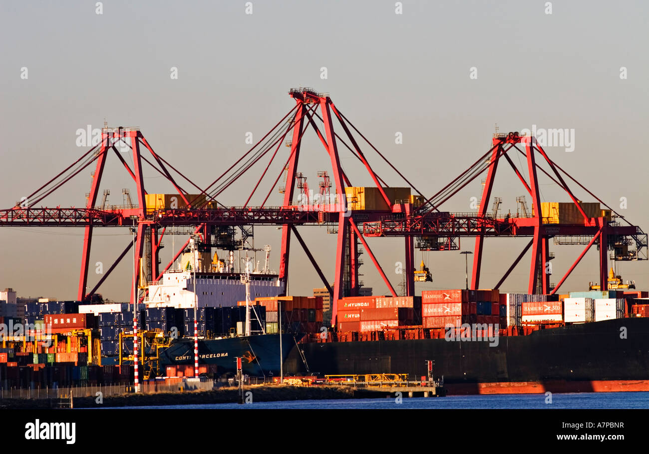 Shipping Industry / Container ships being loaded / unloaded.The Port of ...