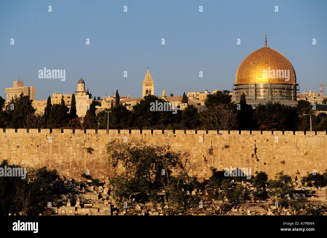 Judaea hi-res stock photography and images - Alamy