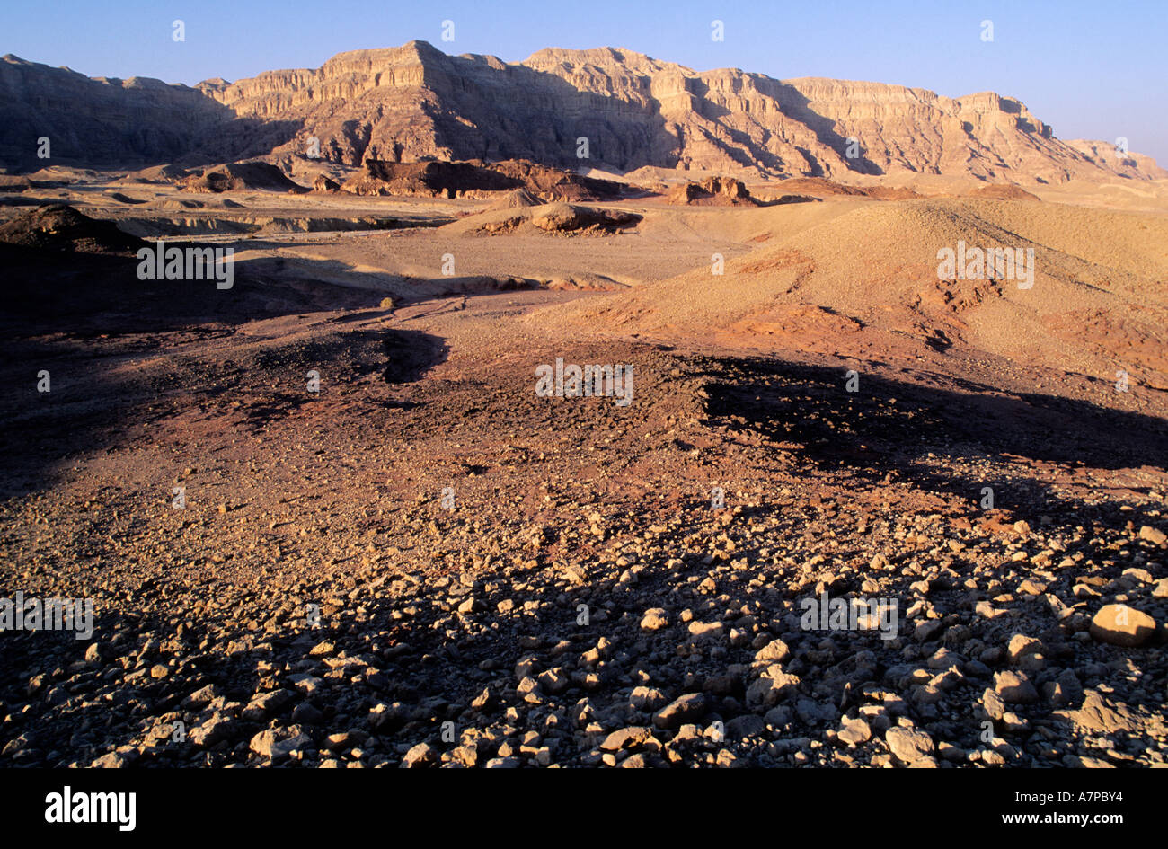 Desert of neguev hi-res stock photography and images - Alamy
